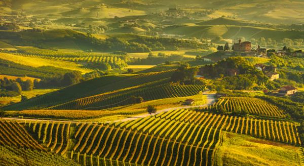 Barolo Travel Guide 2023: Where to stay, wineries - Albacitytours.com
