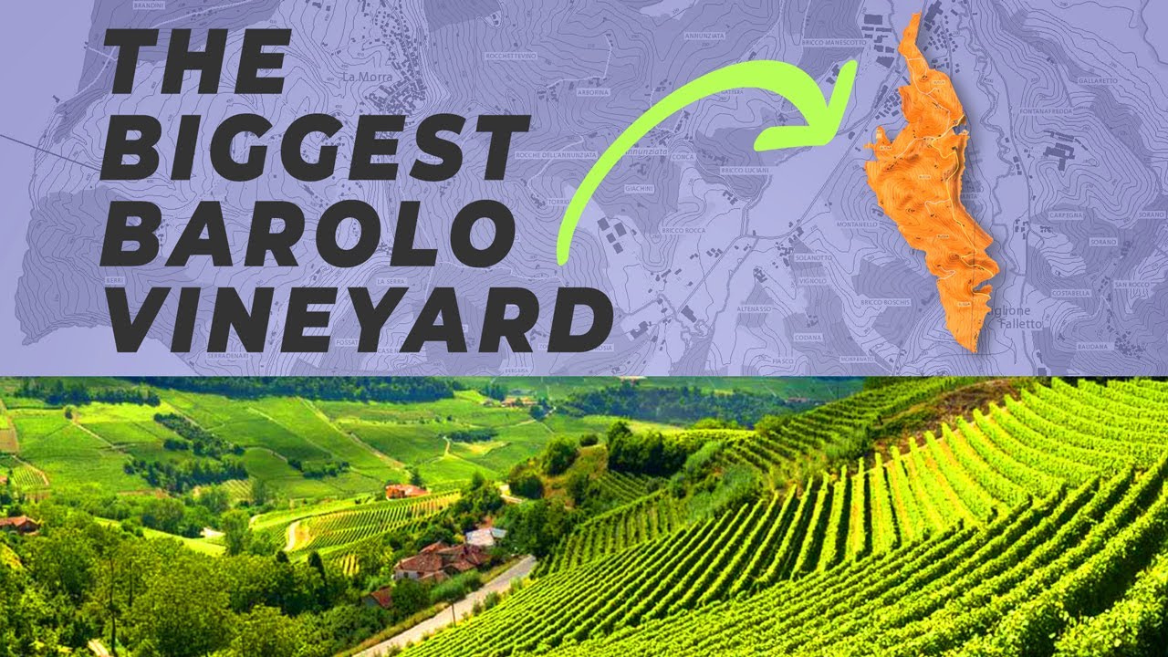 Barolo Bussia Cru - Albacitytours.com
