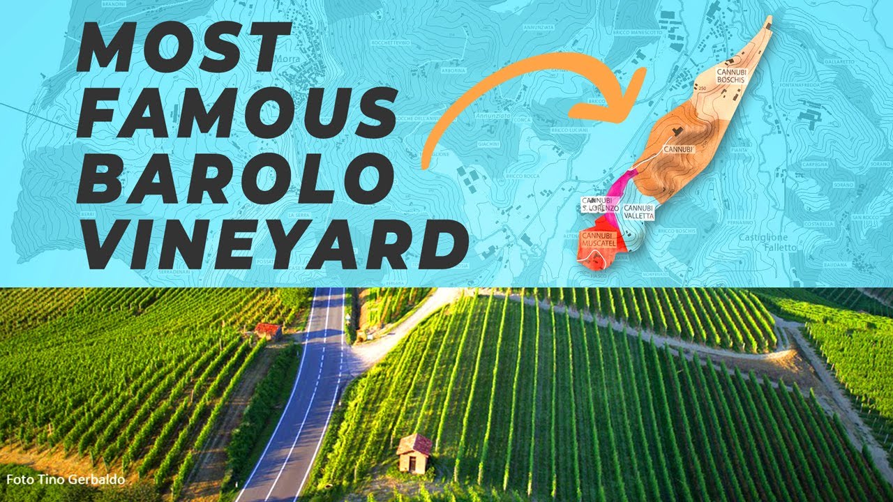 Barolo Cru | Cannubi - Albacitytours.com