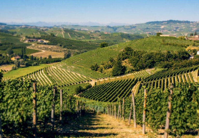 Alba Italy Travel guide 2023: Getting There, Around, Accommodations ...