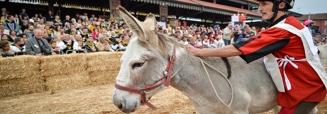 What is the Palio of Alba: The Donkey Race? - Albacitytours.com