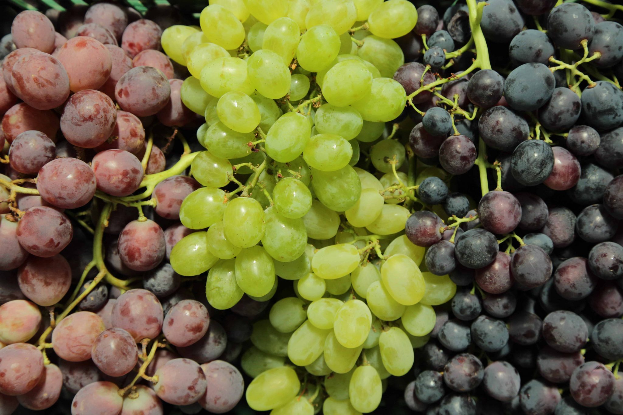 Is Moscato a sweet Wine? A Guide to Moscato and Characteristics ...
